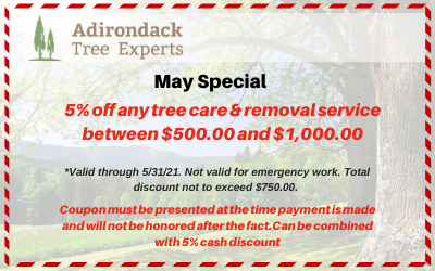 May 2021 Tree Care Specials & Coupons in Maryland & DC | Adirondack ...